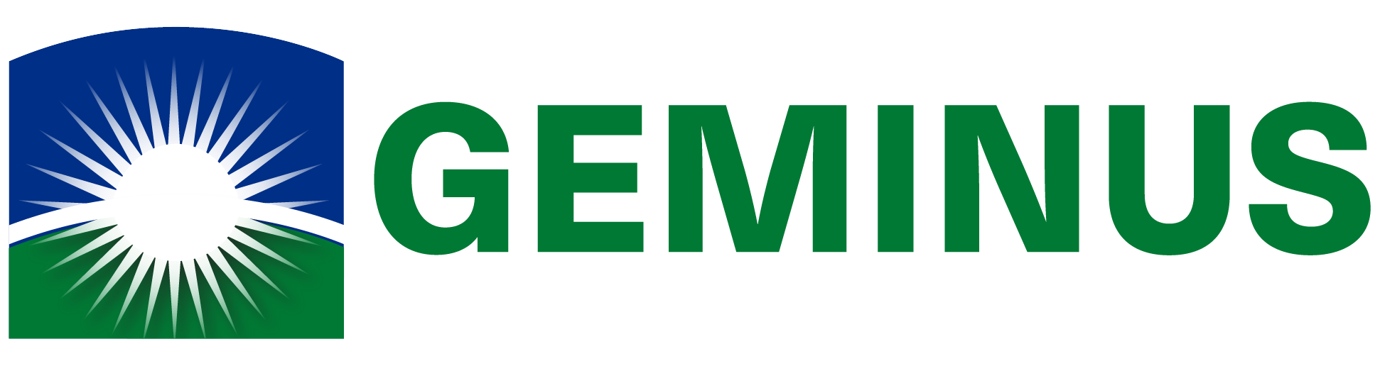 Geminus Community Partners for Child Safety | Geminus